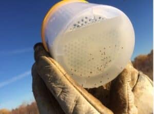 Varroa Easy Check is an accurate and easy to use mite testing kit