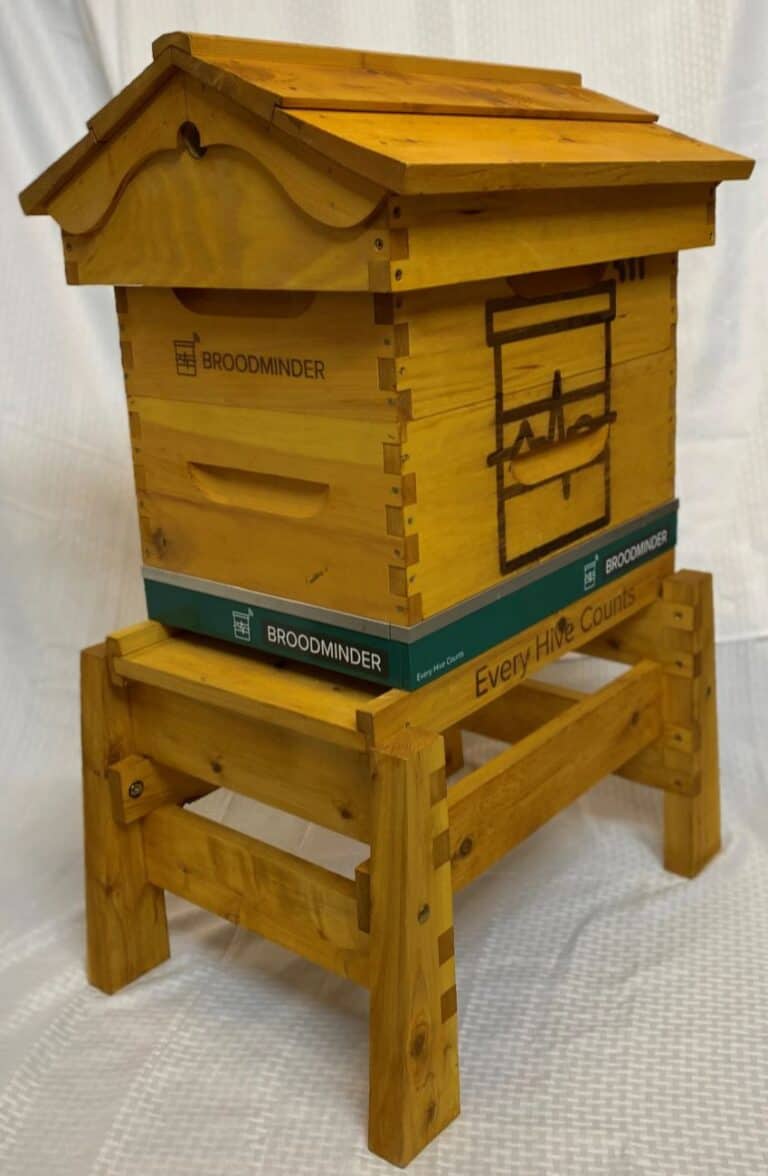 BroodMinder W2 Beehive Scale captures weights of colonies
