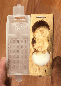 Shamrock Queen Cages with sliding door and optional hang strap