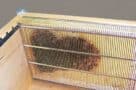 Queen Confinement Cage / Frame Trap - Meyer Bees
