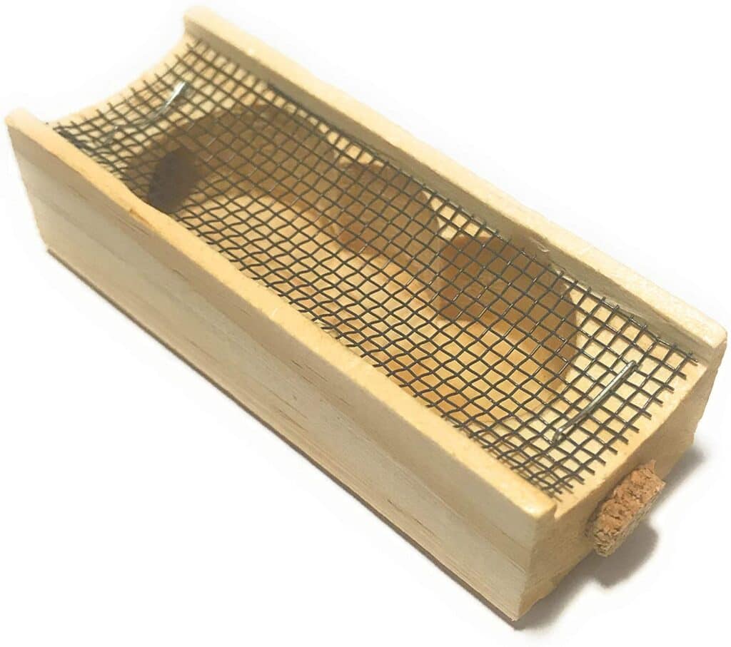 Apitherapy Bee Venom Therapy Bees - Meyer Bees