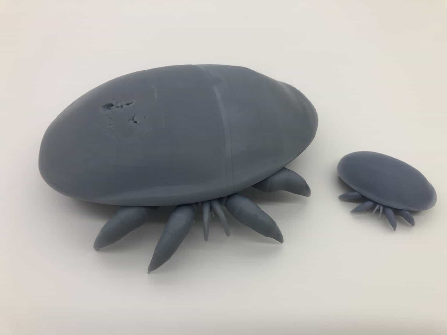 Varroa Mite Model for Demonstrations - Meyer Bees