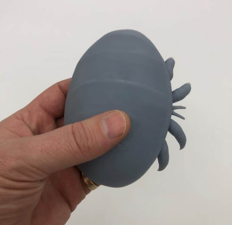 Varroa Mite Model for Demonstrations - Meyer Bees