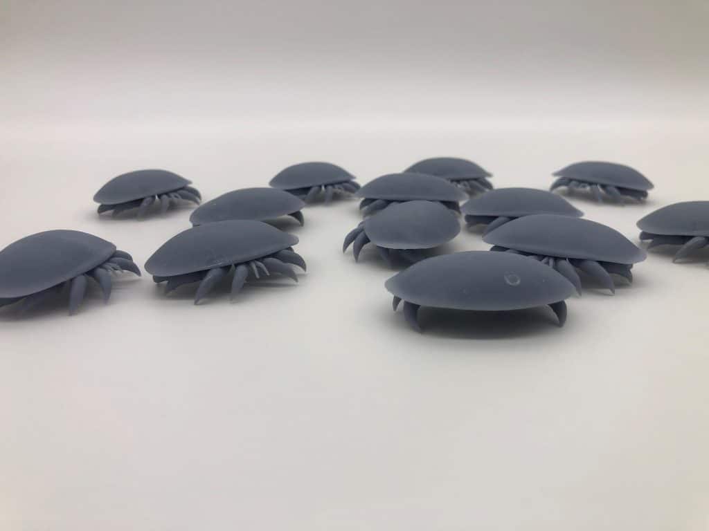 Varroa Mite Model for Demonstrations - Meyer Bees