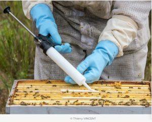 AmiFlex Varroa Mite Treatment - 7 day application knock down