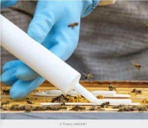 AmiFlex Varroa Mite Treatment - 7 day application knock down