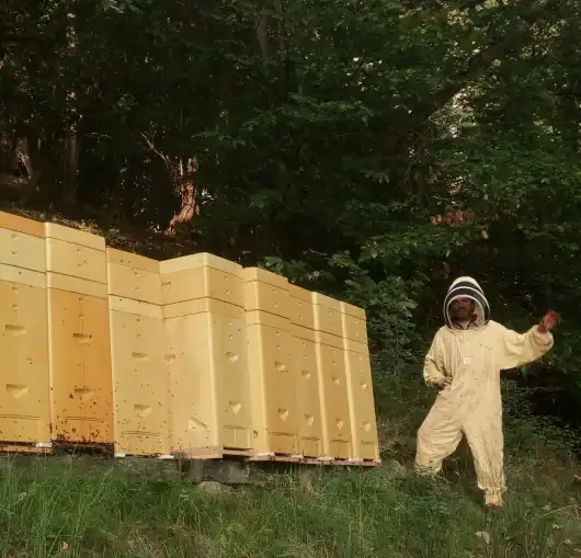 Primal Bee Hive - Meyer Bees